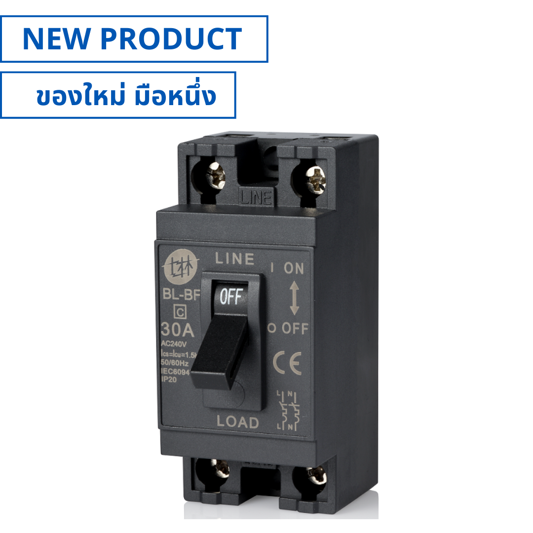 SHIHLIN BL-BF C(MCB) , Safety Breaker 2P 15A 15,20,30 A Safety Breaker – Thai.FAkiki.com