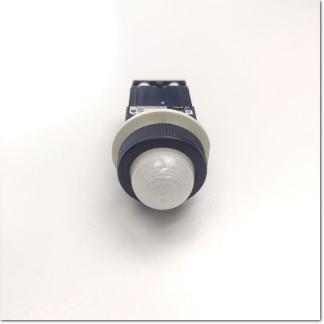 DR30D0L-S3W ไพลอตแลมป์ แบบโดม สเปค AC350V ,Fuji Electric – Thai.FAkiki.com